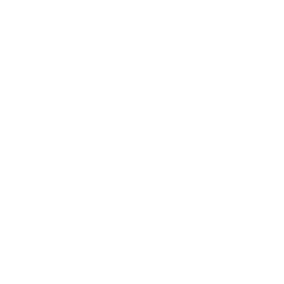 Pinewood Technologies Group (PINE.L) - Revenue