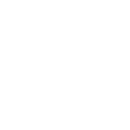 PolyMet (PLM) - Shares outstanding