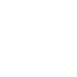 PlaySide Studios (PLY.AX) - Stock price history