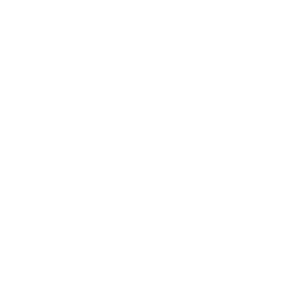 PNE AG (PNE3.DE) - Revenue