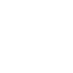 Pony AI (PONY) - Market capitalization
