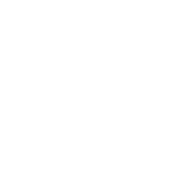 Propanc Biopharma (PPCB) - Total assets