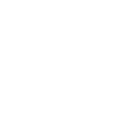 Prince Pipes And Fittings (PRINCEPIPE.NS) - Market capitalization