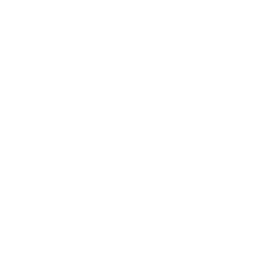 Prio SA (Petro Rio) (PRIO3.SA) - Market capitalization