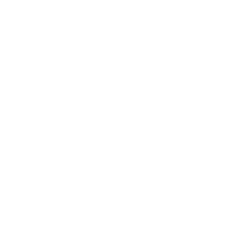 Propel Holdings (PRL.TO) - Dividends
