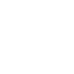 PharmaSGP (PSG.DE) - P/B ratio