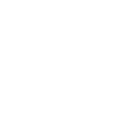 Pershing Square Holdings (PSHZF) - Dividends