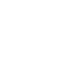 PSC Insurance Group (PSI.AX) - Dividenden