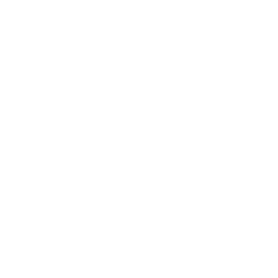 Raisio plc (RAIVV.HE) - P/S ratio