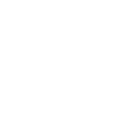 Ramco Cements (RAMCOCEM.NS) - Net Assets