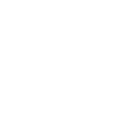RaySearch Laboratories AB (RAY-B.ST) - Market capitalization