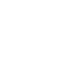 Ribbon Communications (RBBN) - Revenue