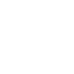 Red Violet (RDVT) - P/S ratio