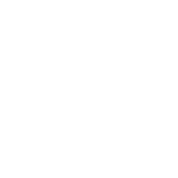 Dr. Reddy's Laboratories (RDY) - P/E ratio