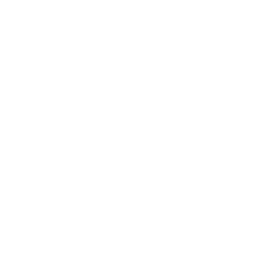 Real Matters (REAL.TO) - P/E ratio