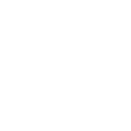 Richter Gedeon (RIG2.F) - Market capitalization