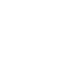 Rithm Capital (RITM) - Net Assets
