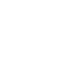 Radiant Logistics (RLGT) - Market capitalization