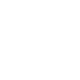 Rambus (RMBS) - Revenue