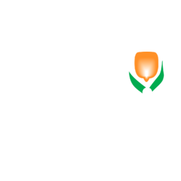 Rafhan Maize Products Company (RMPL.PK) - Earnings
