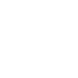 Ramelius Resources (RMS.AX) - Stock price history