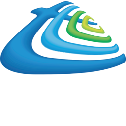 Renaissance Services (RNSS.OM) - Market capitalization