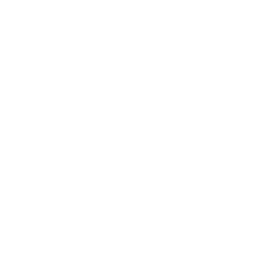 Roche (RO.SW) - Stock price history
