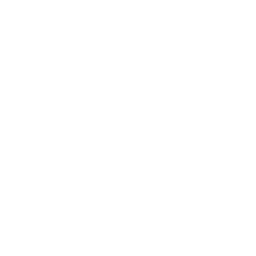 Roche (ROG.SW) - Market capitalization
