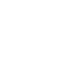 RPM International - 10-K annual report 2025