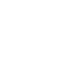 Rogers Sugar (Lantic) (RSI.TO) - Revenue