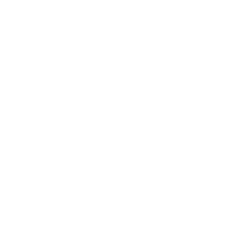 Rush Street Interactive (RSI) - P/B ratio