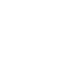 Rupert Resources (RUP.TO) - Net Assets
