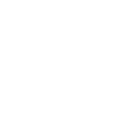 Revolution Medicines (RVMD) - Gesamtverbindlichkeiten