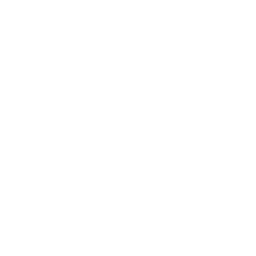 RWS Holdings (RWS.L) - Revenue