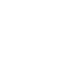SATS (S58.SI) - Stock price history