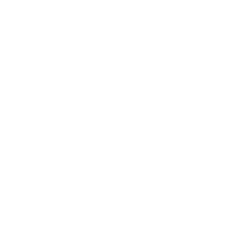 Sachem Capital (SACH) - Net Assets