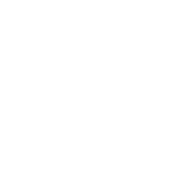 Safran (SAF.PA) - Stock price history
