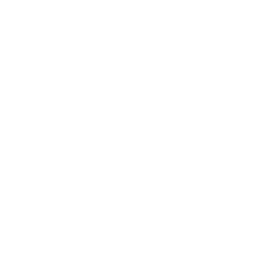 Saia (SAIA) - P/E ratio