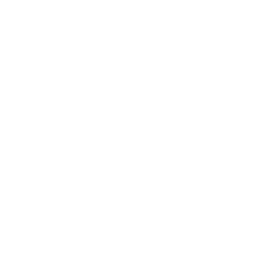 Salcef Group (SCF.MI) - P/E ratio