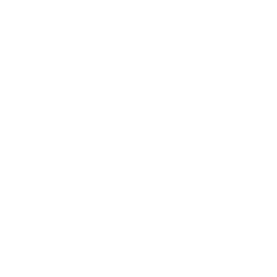 Scilex Holding (SCLX) - Total assets