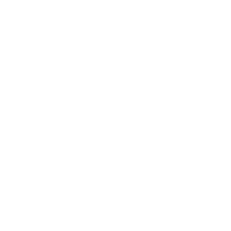 Scienture Holdings (SCNX) - P/B ratio