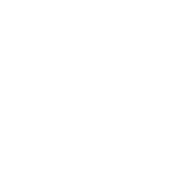 Septerna (SEPN) - P/B ratio
