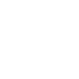 SF Urban Properties (SFP) (SFPN.SW) - Market capitalization