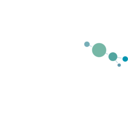 Sagimet Biosciences (SGMT) - P/E ratio