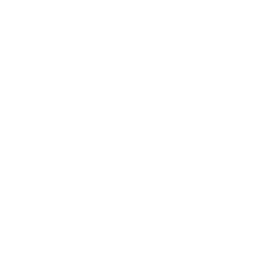 Surge Energy (SGY.TO) - Stock split history