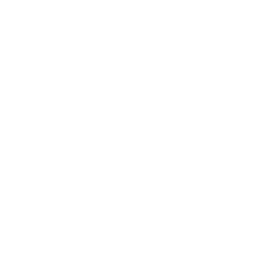 Shalby (SHALBY.NS) - Dividend Yield