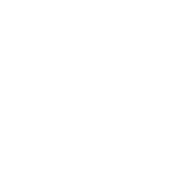 SCHMID Group (SHMD) - P/E ratio