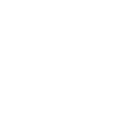 The Shyft Group (SHYF) - Market capitalization