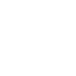 Siebert Financial (SIEB) - P/E ratio