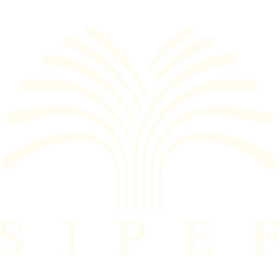 Sipef (SIP.BR) - P/B ratio